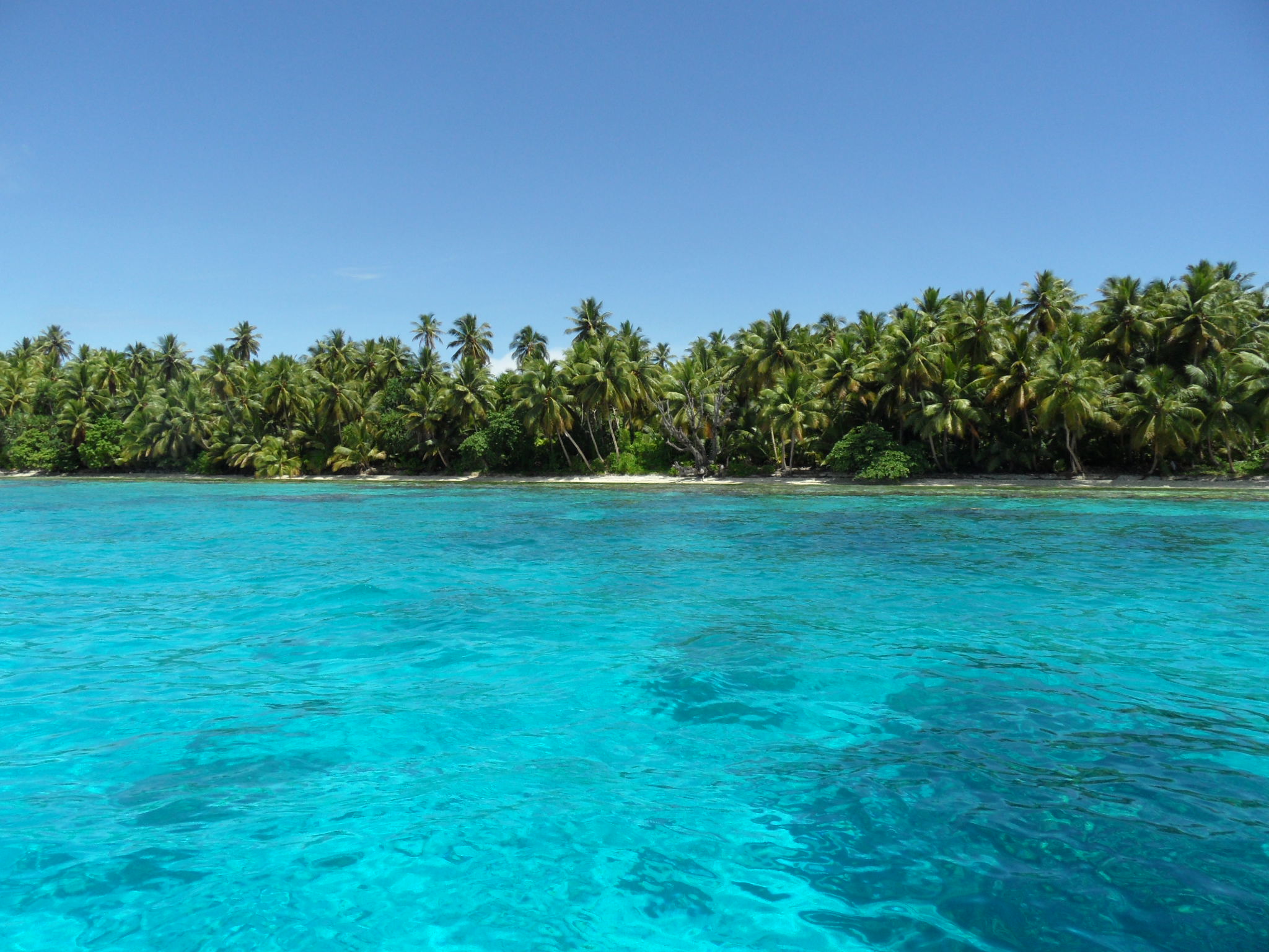 FALOS Island, Chuuk- Resort Project – guamnatureworks